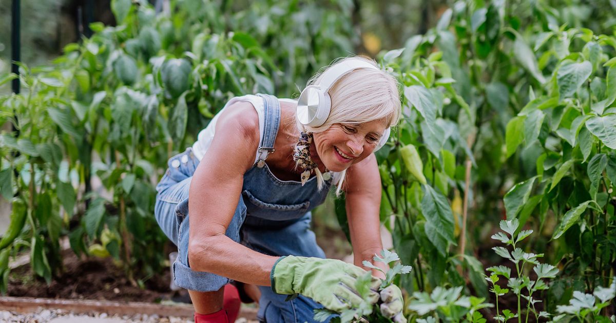 Gardening is hard work. Music can help | The Seattle Times