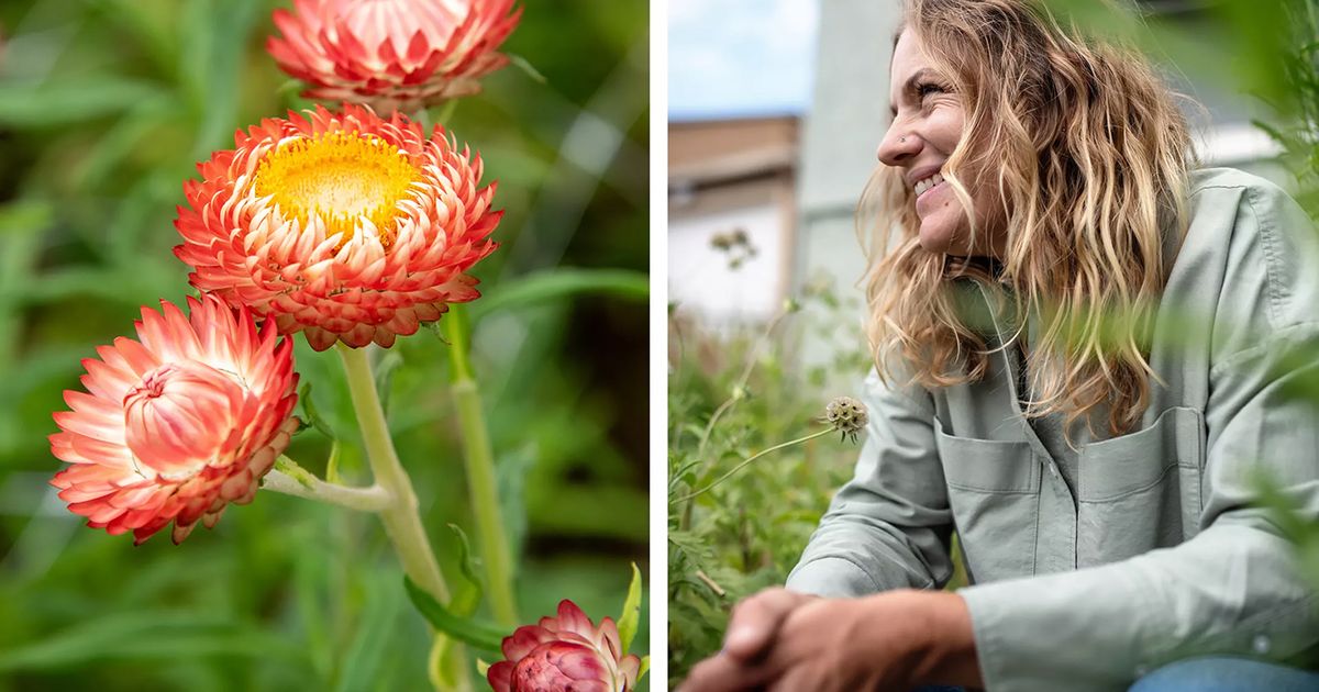 ‘All the neighbors know who she is’: How one woman built a flower farm ...