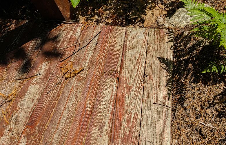 Tim Carter | The Seattle Times