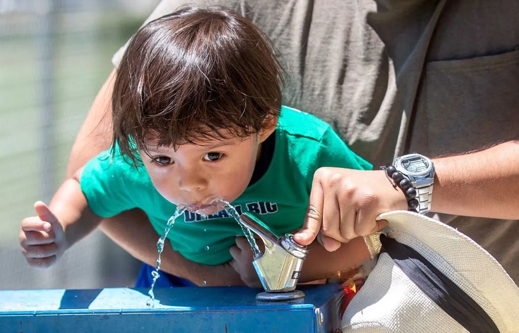 Kate Sequeira | The Seattle Times