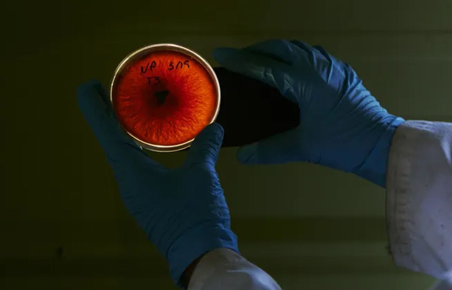 Stephen Robert Miller | The Seattle Times