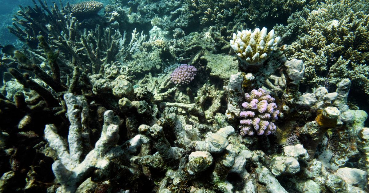 UN agency that governs international waters mired in grueling debate ...