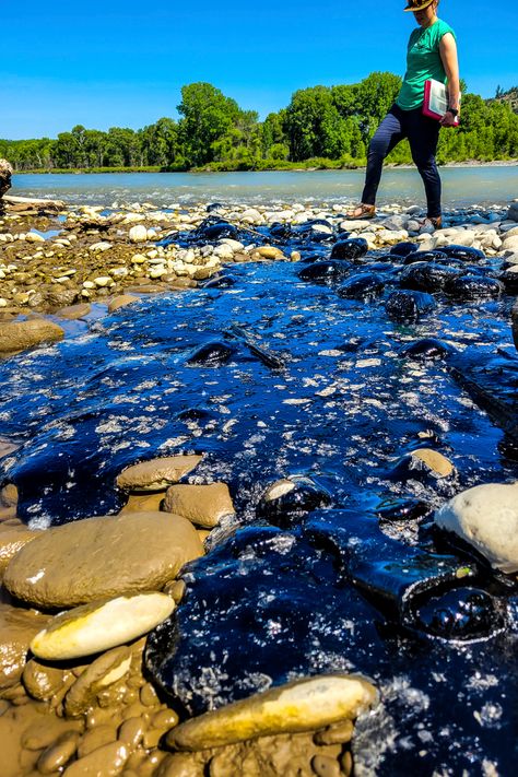 Cleanup begins after asphalt binder spill into Montana’s Yellowstone ...