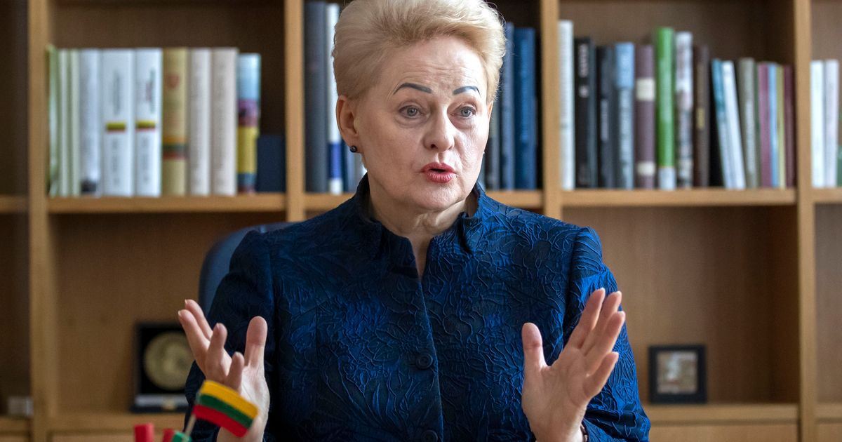 NATO summit host Lithuania is a small country with a loud voice ...