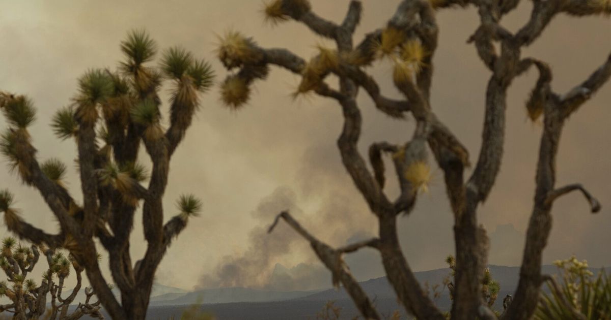 Progress made against massive California-Nevada wildfire but flames ...