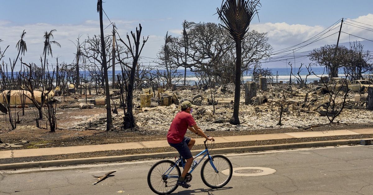 A journey through Lahaina’s endless streets of suffering | The Seattle ...