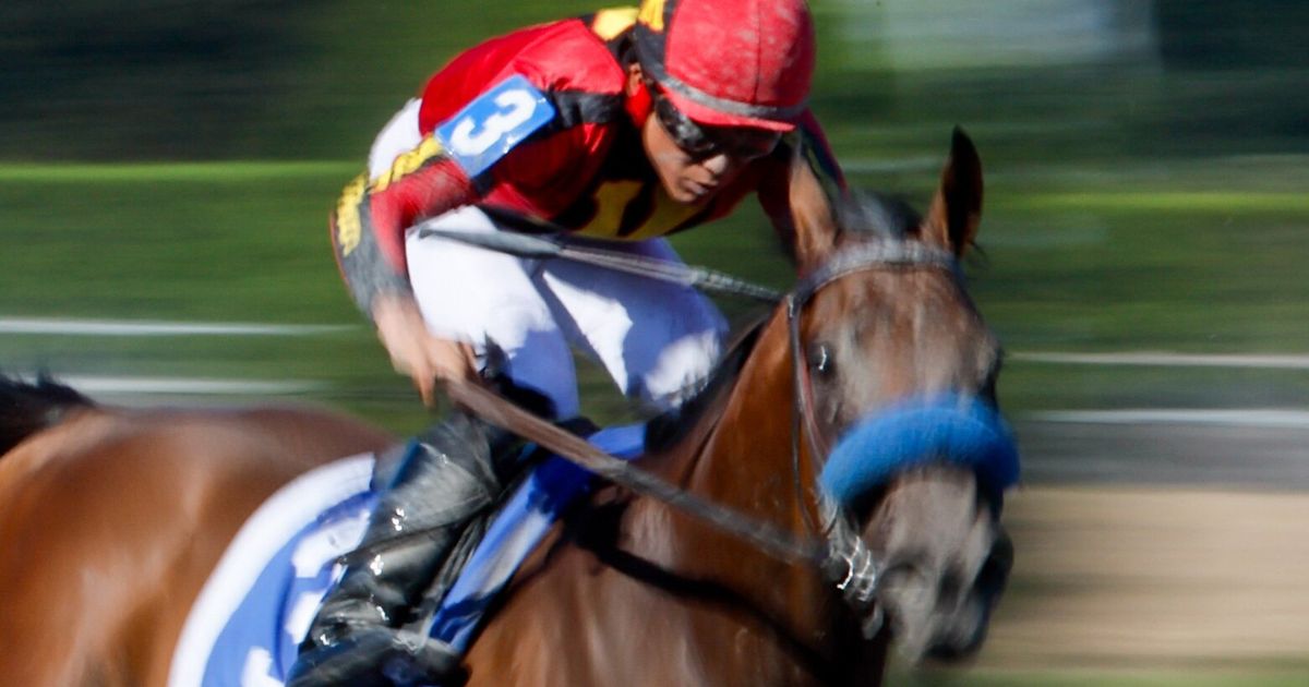 Invader Prince Abu Dhabi wins Muckleshoot Derby on Longacres Mile ...