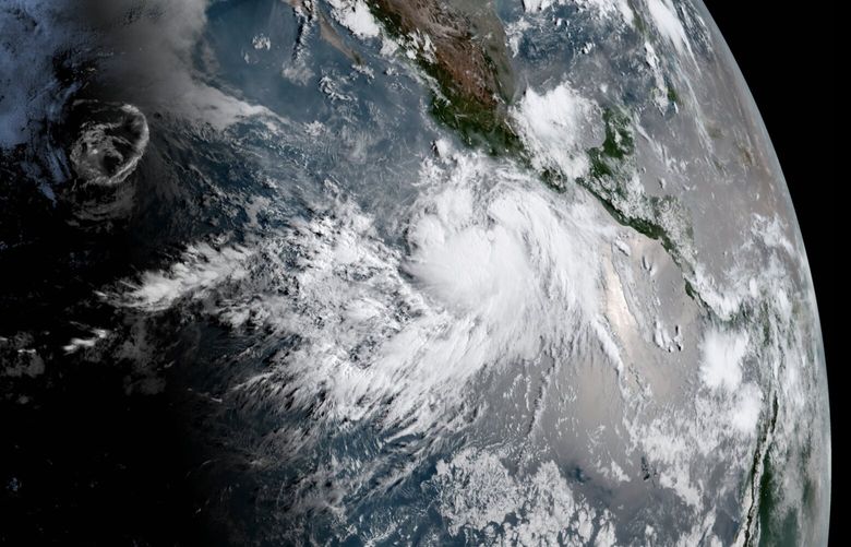 Grace Toohey | The Seattle Times