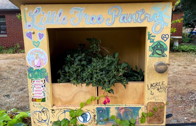 Filip Timotija | The Seattle Times