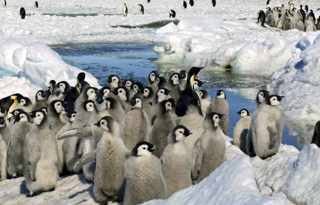 CHRISTINA LARSON | The Seattle Times