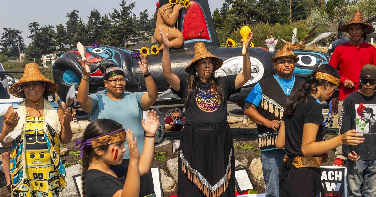 Celebrating the life of Tokitae the orca on San Juan Island | The ...