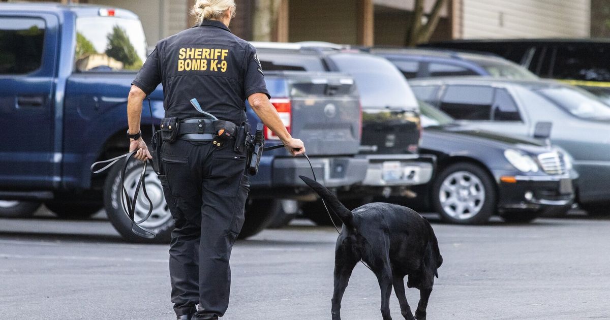 King County Sheriff’s Office must heed oversight report | The Seattle Times