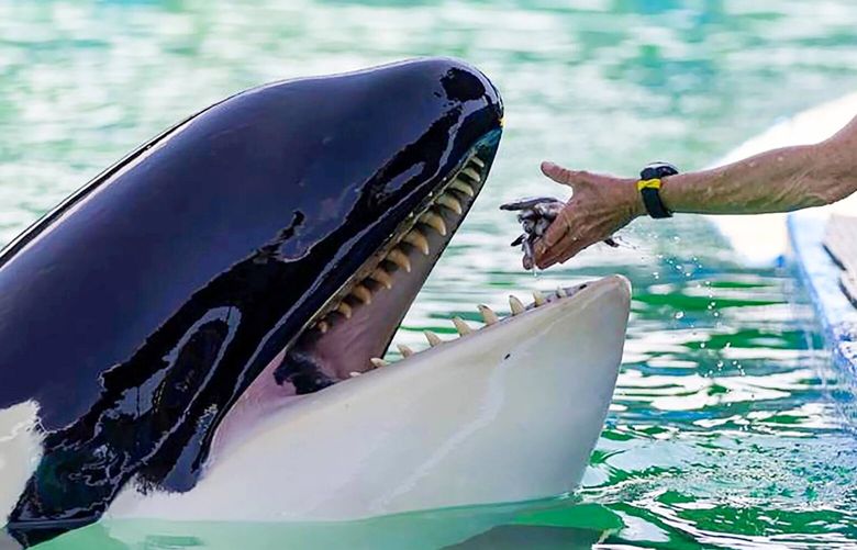 Bob Kustra | The Seattle Times