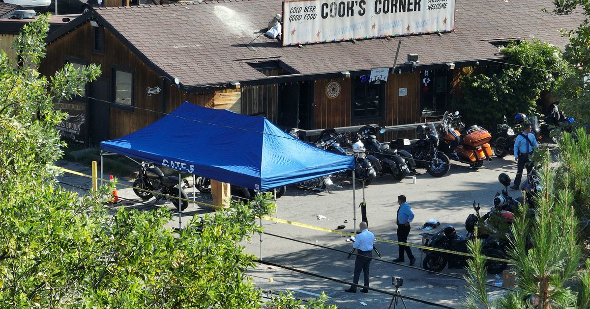 Survivor describes ‘war zone’ inside Cook’s Corner; mass shooting ...