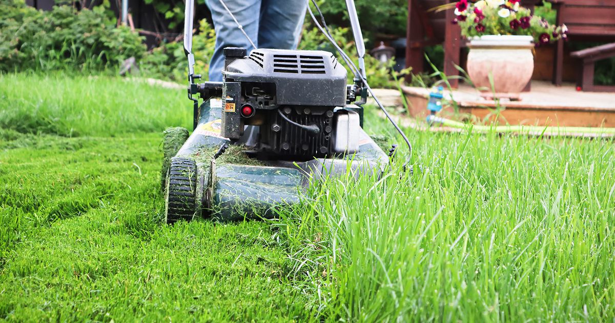 For a well-kept lawn, you’ll want to hire the right team. Here’s how to ...