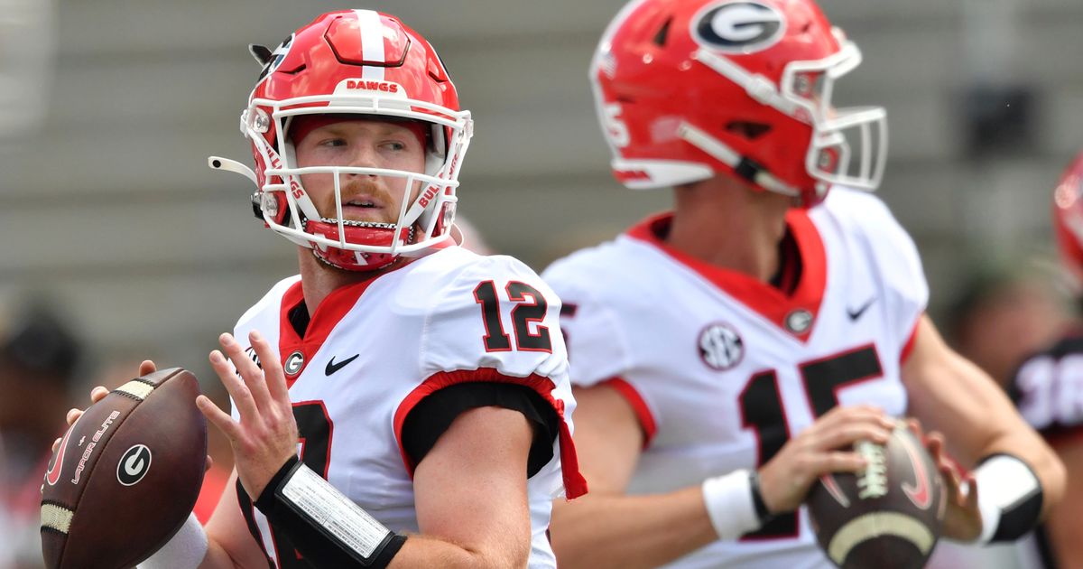 SEC teams banking on transfer QBs to help replace departed stars | The ...