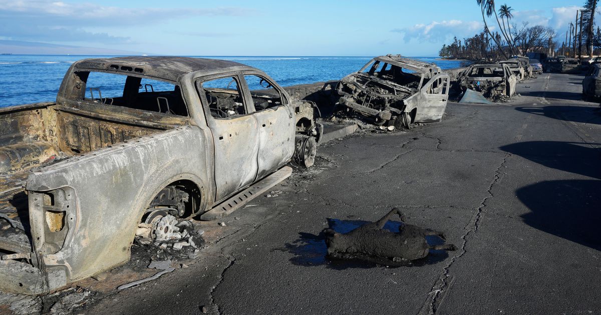 In deadly Maui wildfires, communication failed. Chaos overtook Lahaina ...