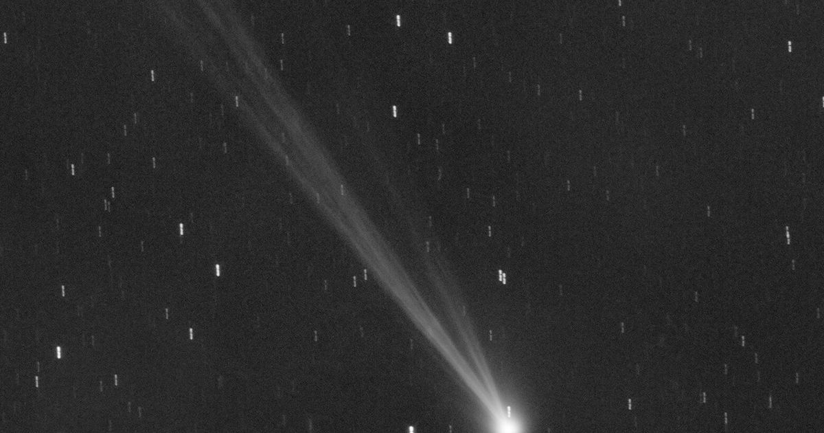 Across the Northern Hemisphere, now’s the time to catch a new comet ...
