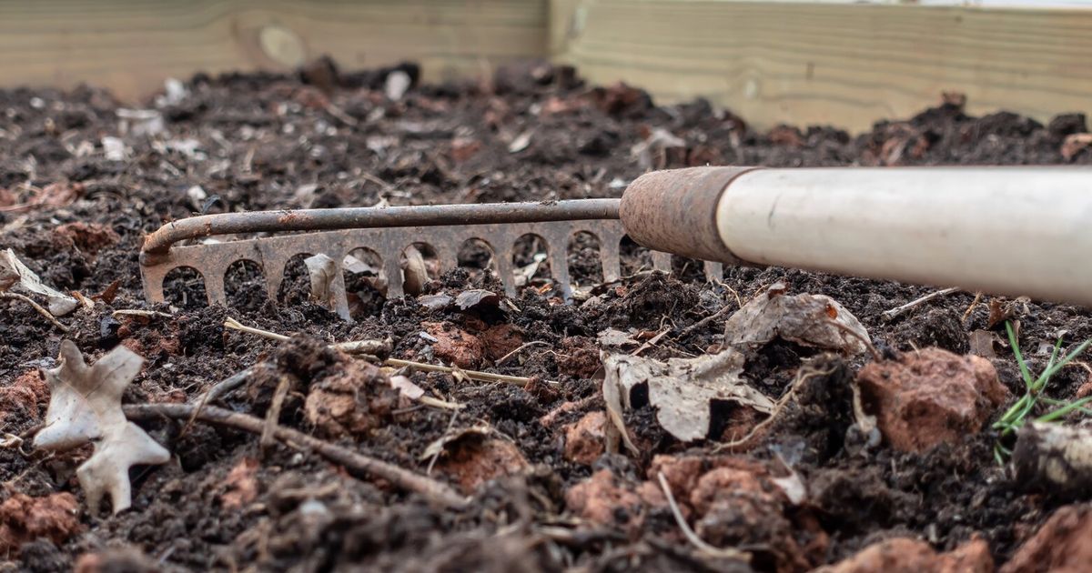 Seattle is giving residents free compost. Here’s what to know | The ...