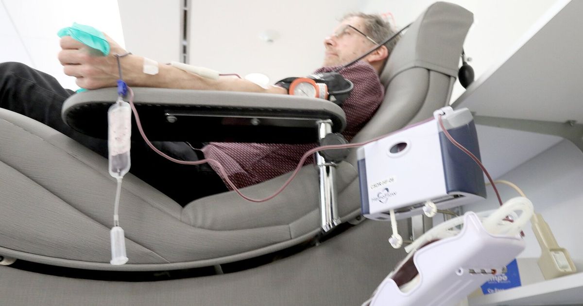 The American Red Cross faces severe blood shortage, appeals for urgent ...
