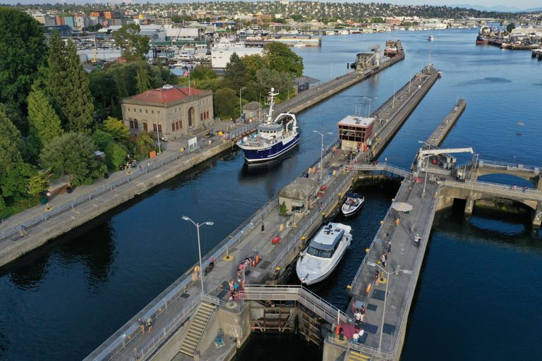 A deep dive into Seattle’s busy, beloved Ballard Locks | The Seattle Times