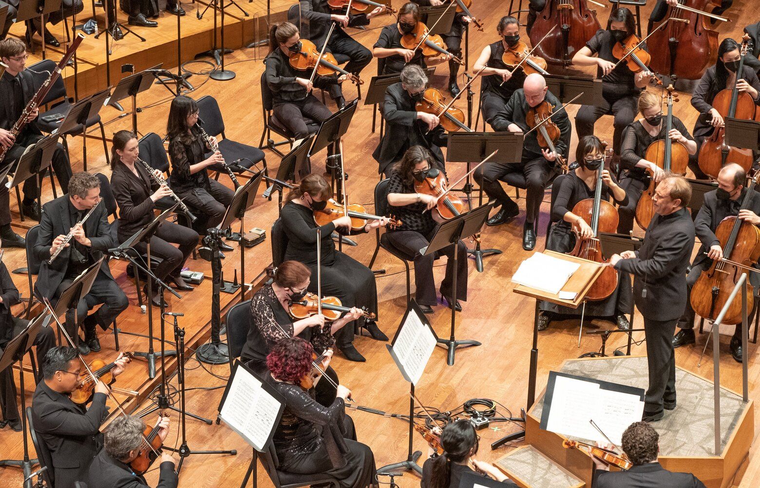 Gemma Wilson | The Seattle Times