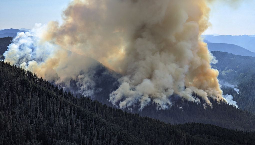 Decades of research burned in this Oregon forest. Now it could hold ...