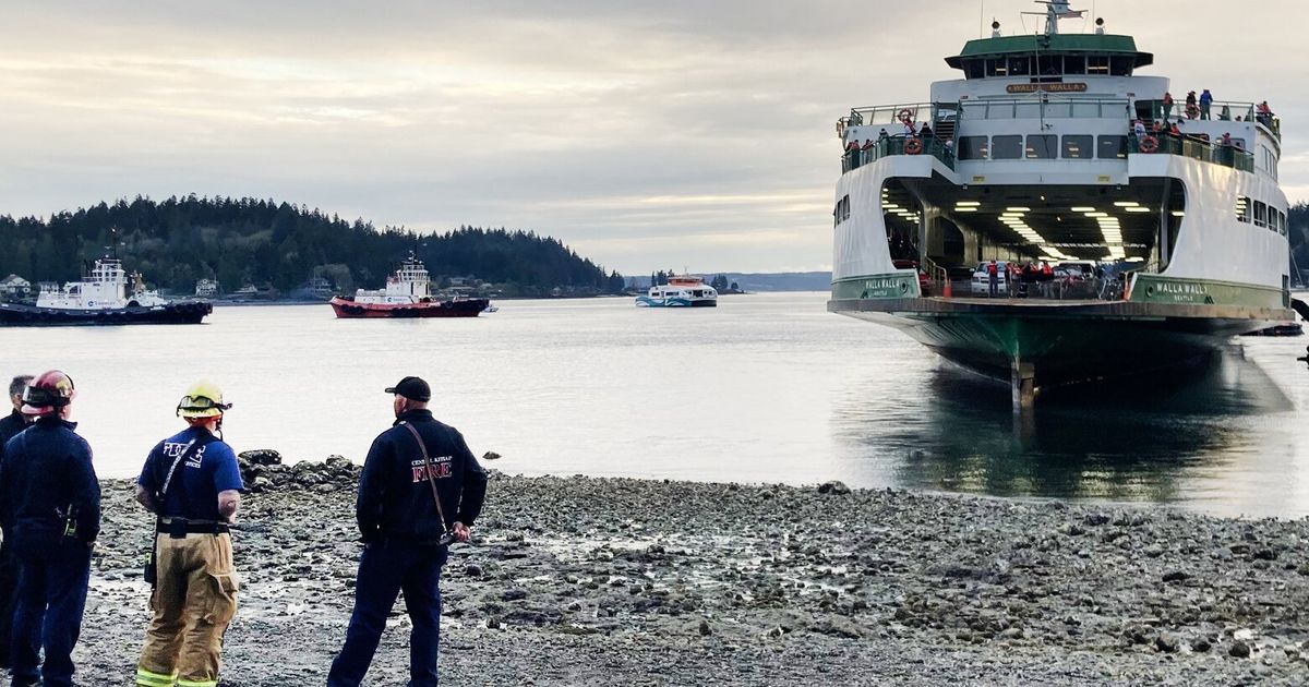 Bacteria and fungus in fuel caused ferry Walla Walla to run aground ...
