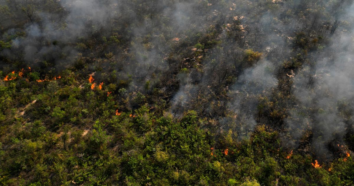Brazil’s firefighters battle wildfires raging during rare late-winter ...