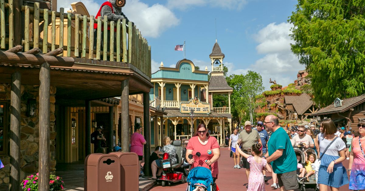 Wild black bear at Walt Disney World in Florida captured after search ...