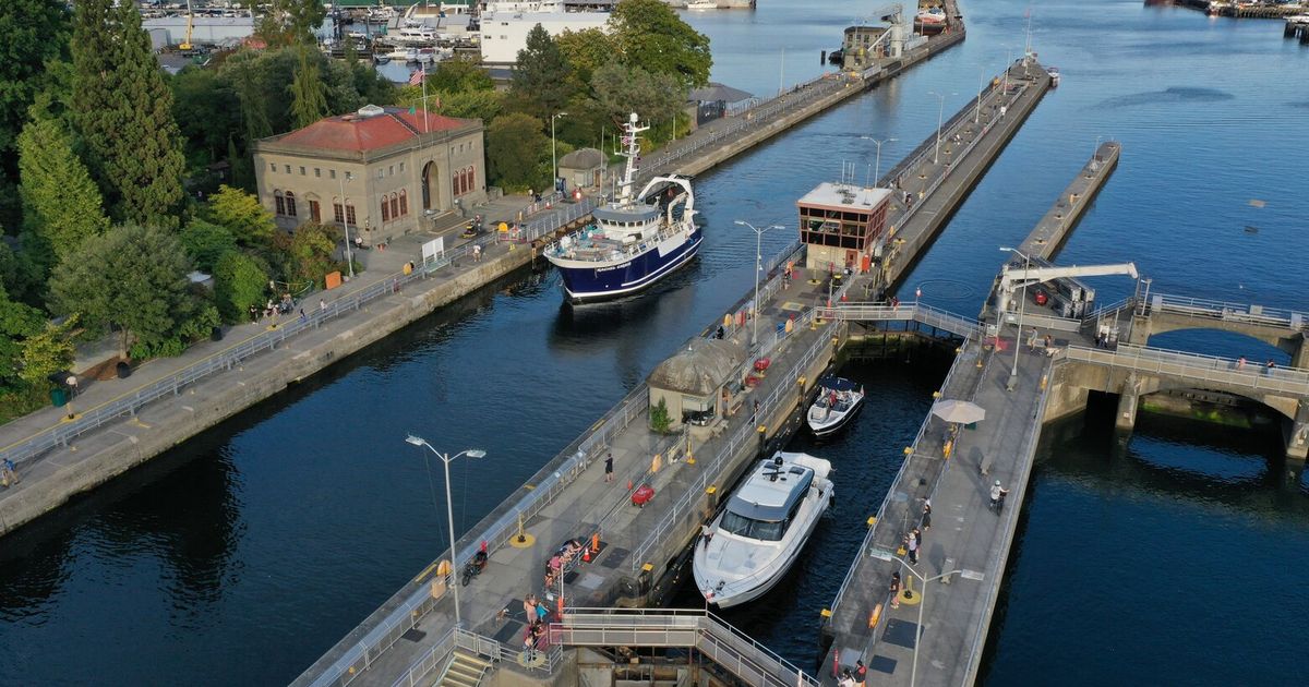 A deep dive into Seattle’s busy, beloved Ballard Locks | The Seattle Times