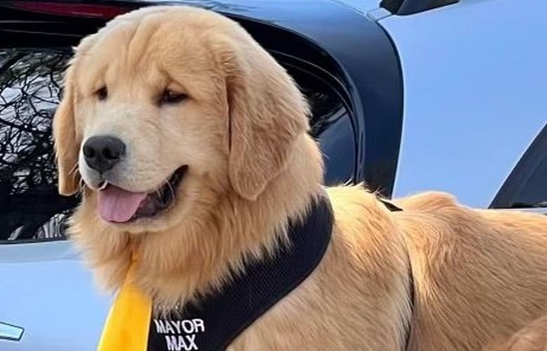 Mel Melcon | The Seattle Times