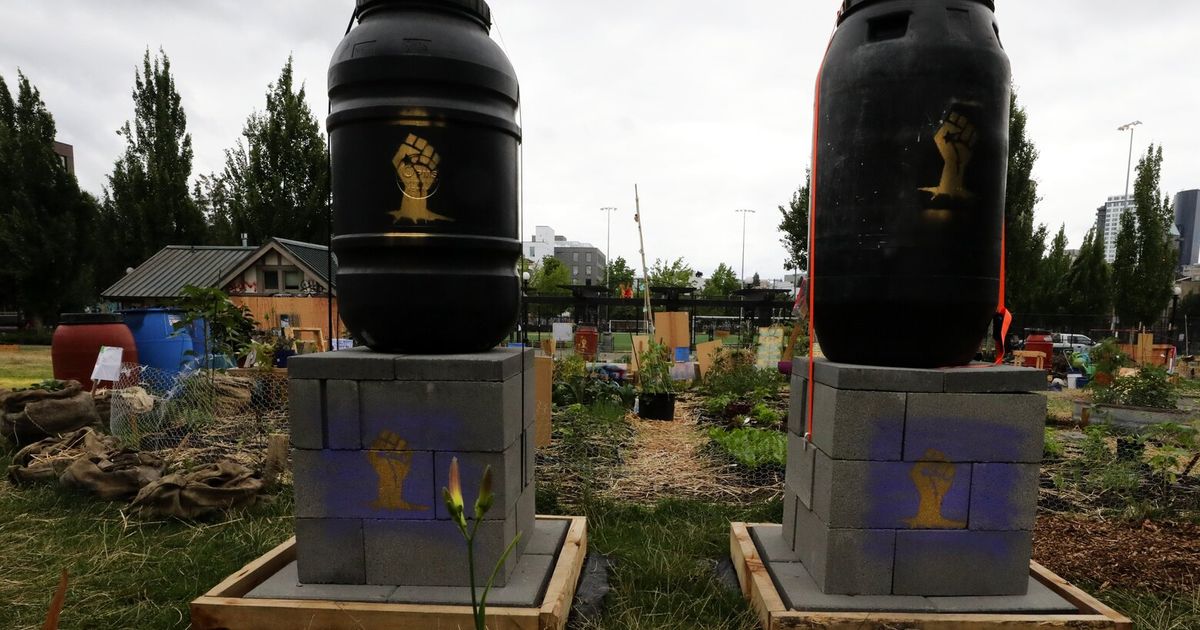 Seattle’s plan to remove Cal Anderson Park’s BLM garden draws pushback ...