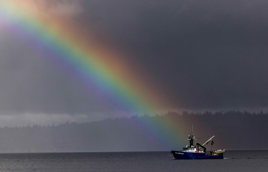 Lynda Mapes | The Seattle Times