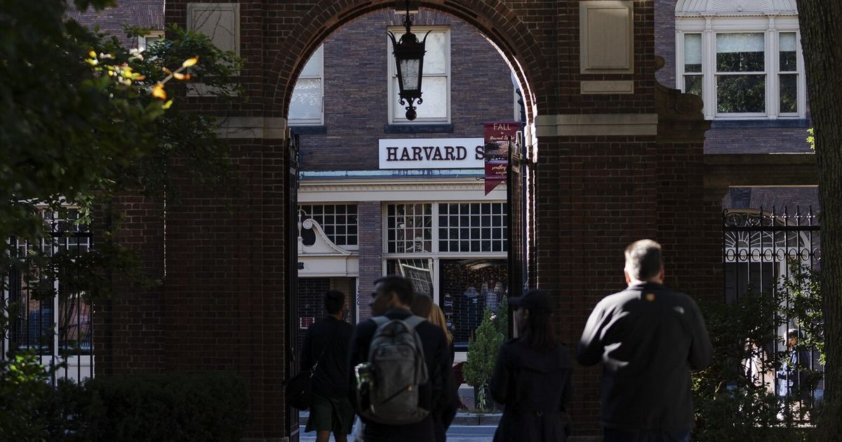 After writing an anti-Israel letter, Harvard students are doxxed | The ...