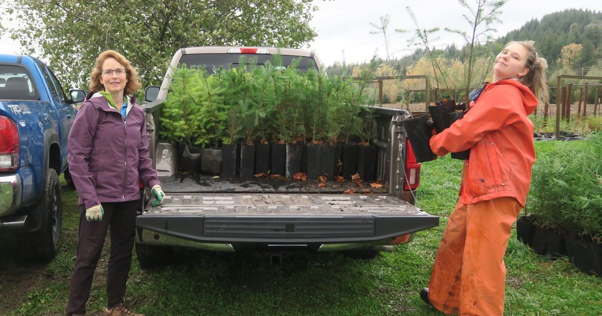 Grow it Forward enlists volunteers to nurture trees for habitat ...