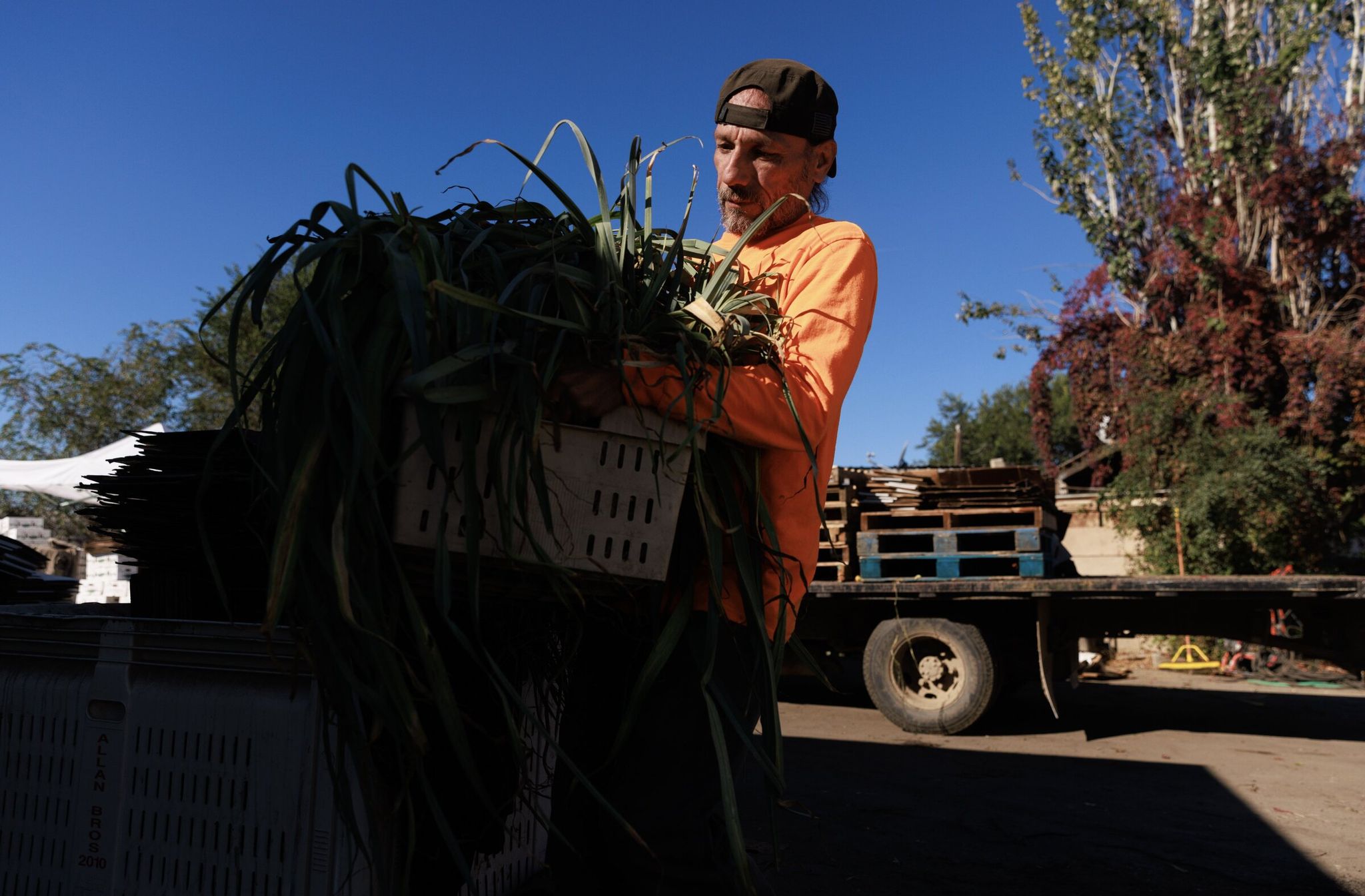 WA’s farmers of color caught a pandemic boom; now many fear a bust ...