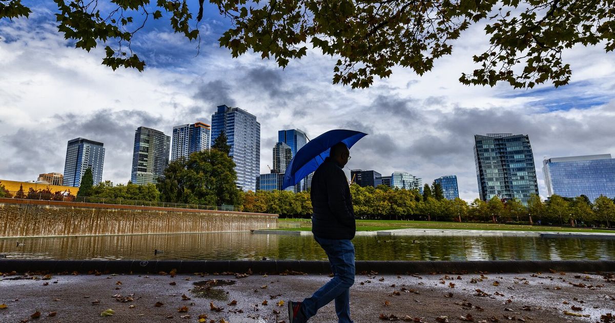 Seattle weather forecast: Clouds and rain return for the weekend | The ...