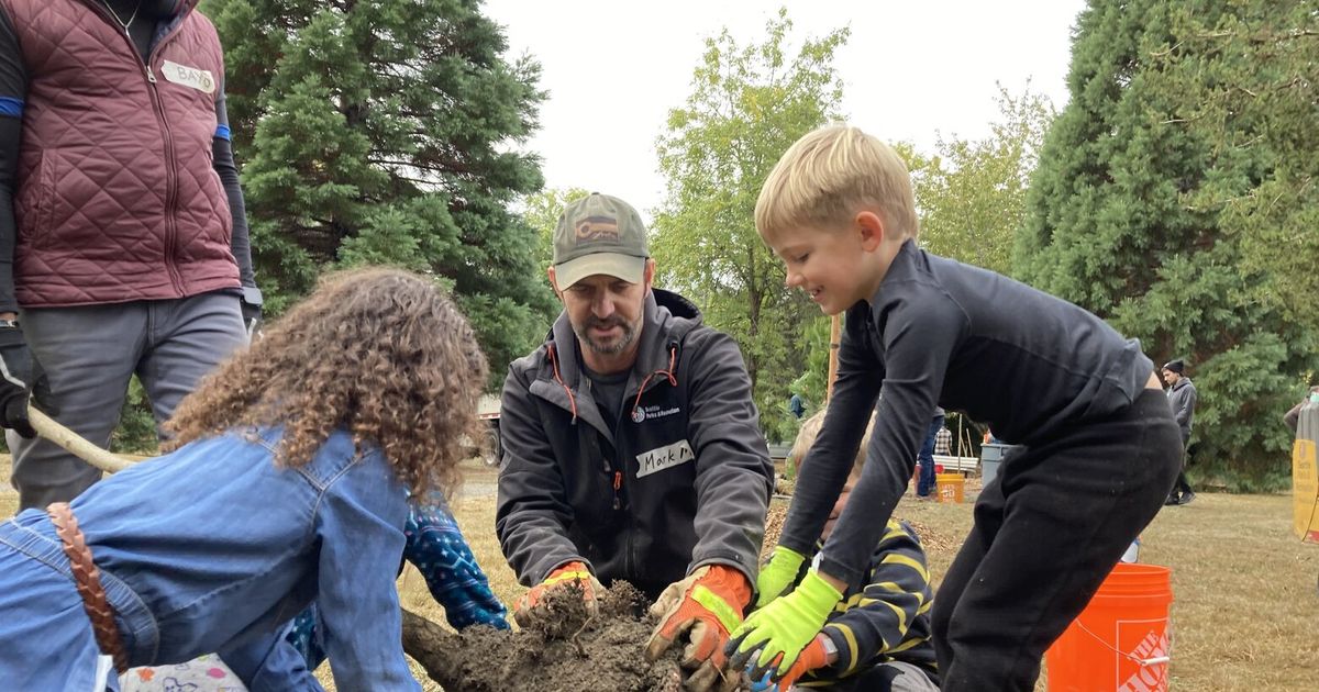 Weeklong event encourages Seattle tree lovers to protect urban forest ...