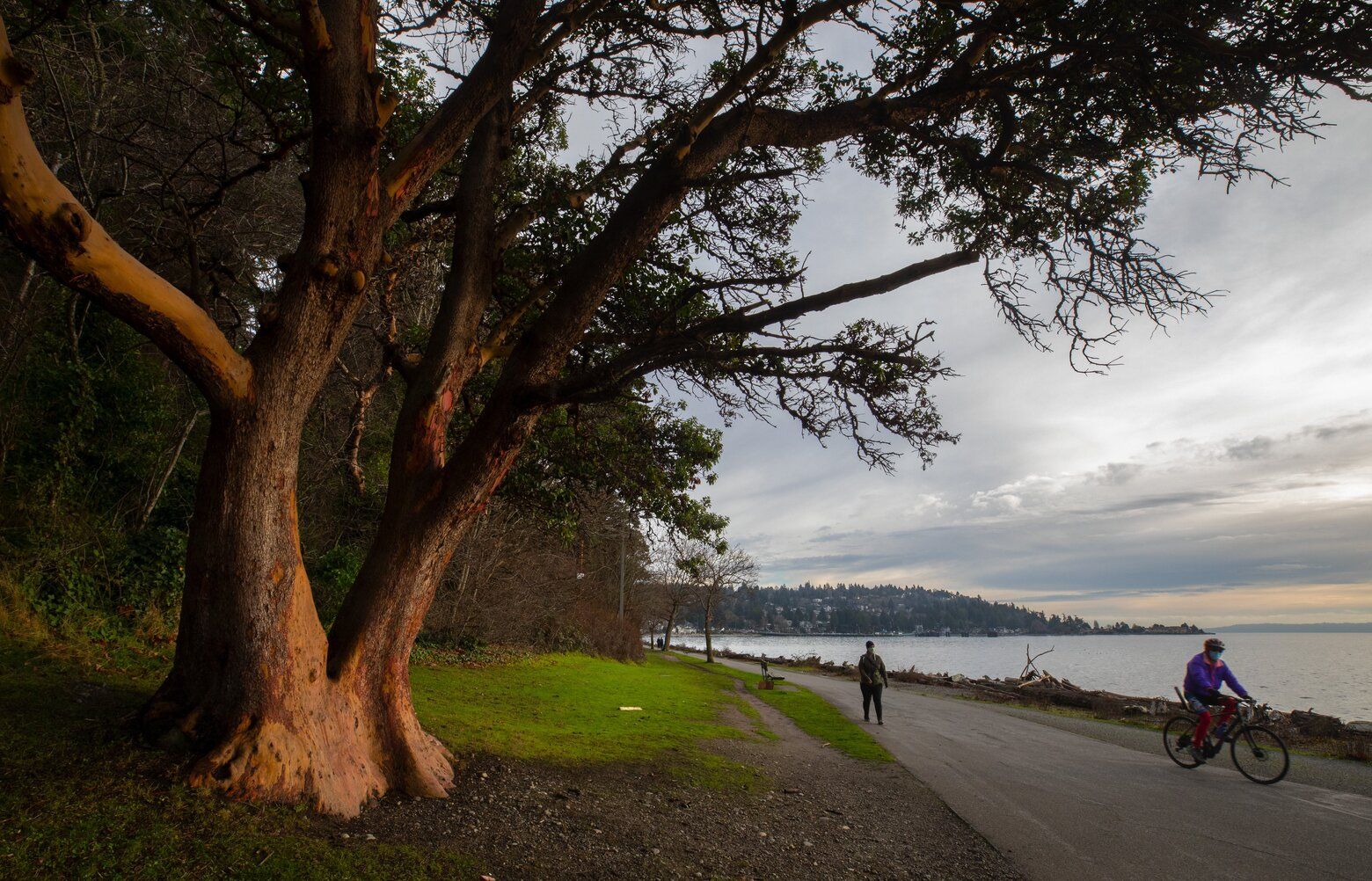 Denise Dahn | The Seattle Times