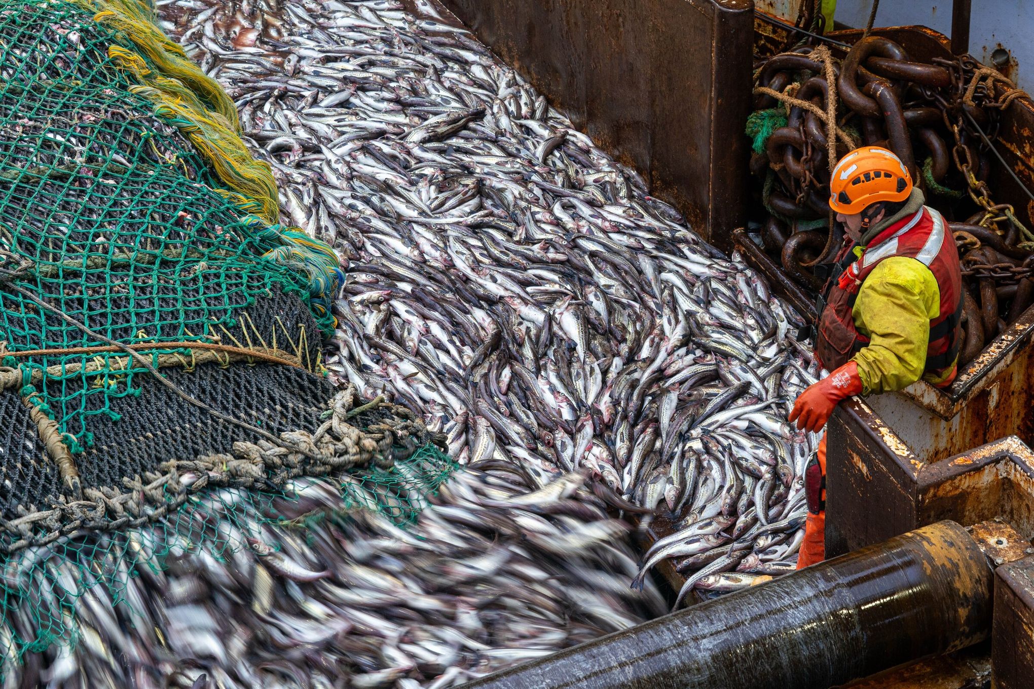 Bering Sea fish bounty brings help, headaches for trawlers - The ...