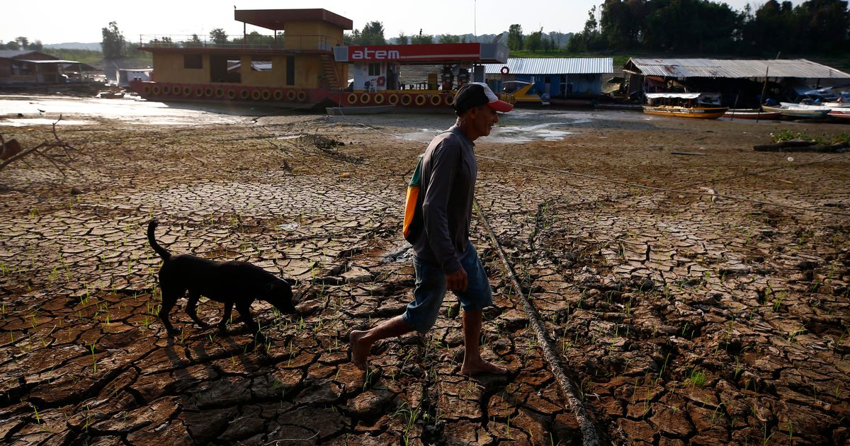 ‘Without water, there is no life’: Drought in Brazil’s Amazon is ...