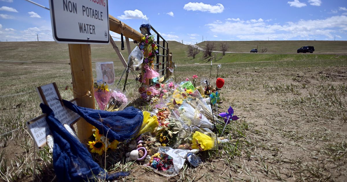Colorado men accused of taking photo after rock-throwing death will ...