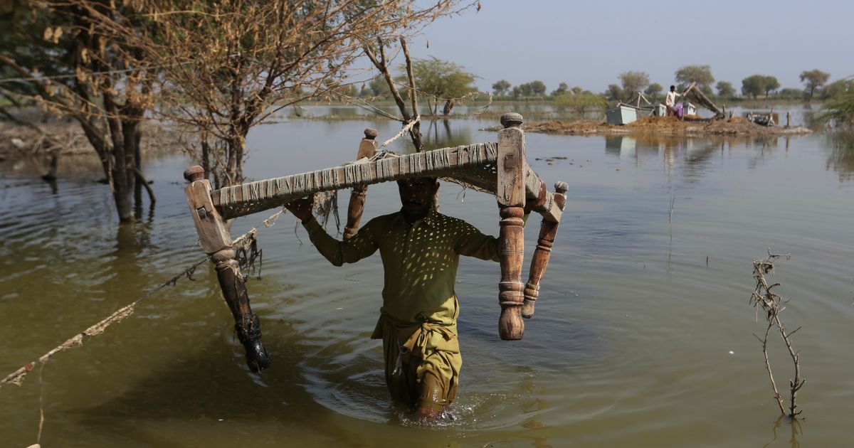 Study finds more people are moving into high flood zones, increasing ...