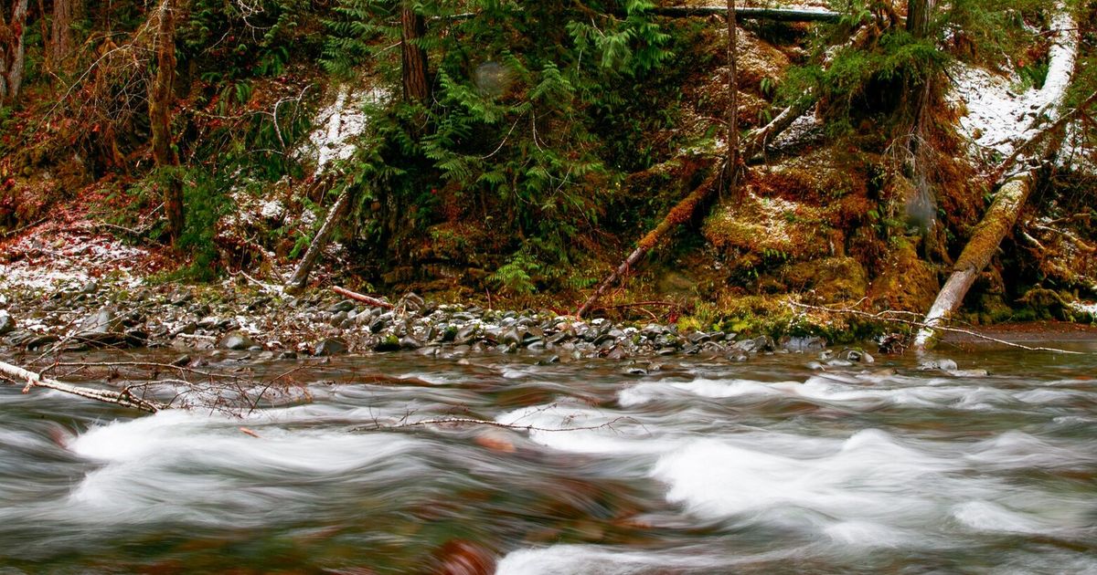 5 rainy day hikes: Try these Western WA trails that follow rivers | The ...