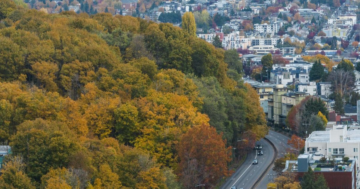 Seattle shows off autumn colors | The Seattle Times