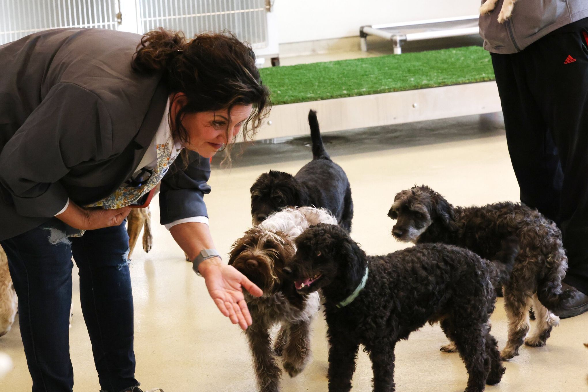 When she saw smoke at a Sodo doggy day care, she ran to help save dogs ...
