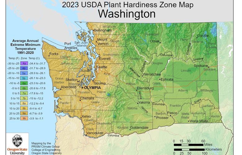 Garden | The Seattle Times