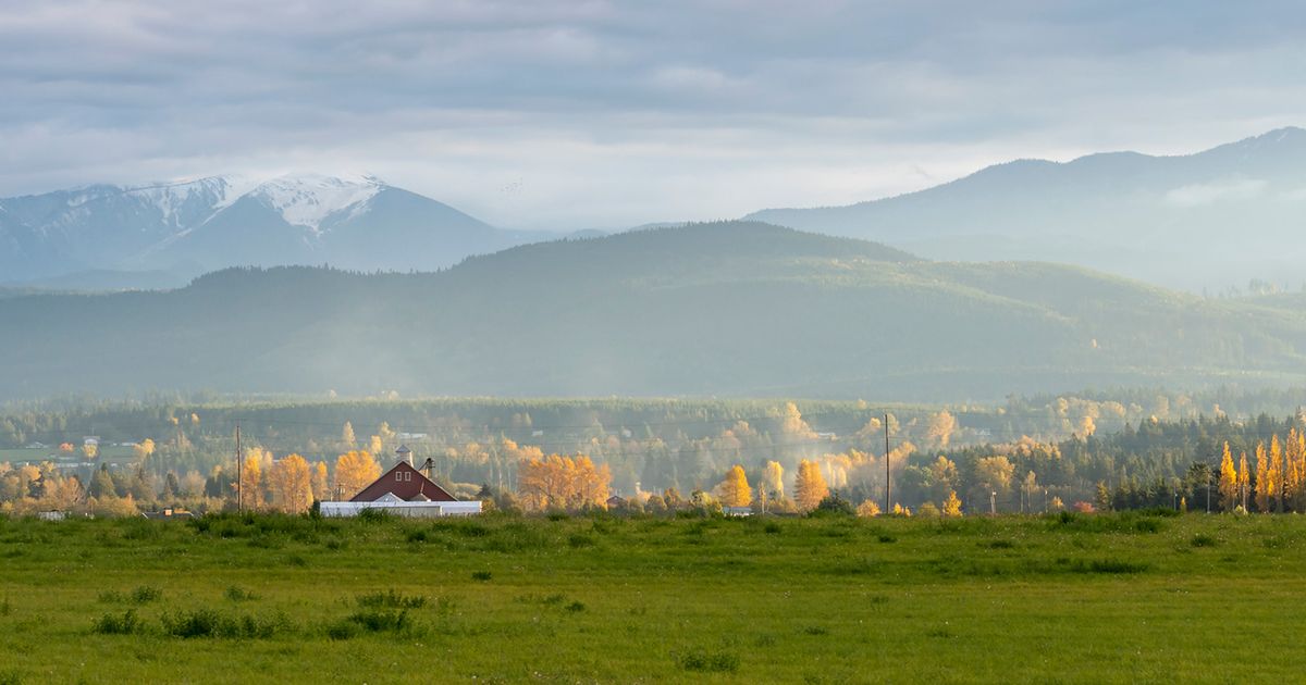 Escape to Sequim: A road trip to a drier destination | The Seattle Times
