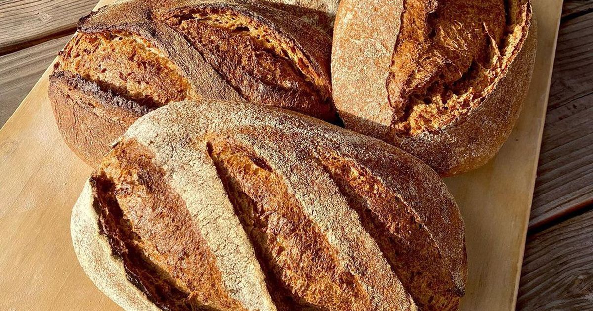 Locally developed grains make bread that’s down to earth | The Seattle ...